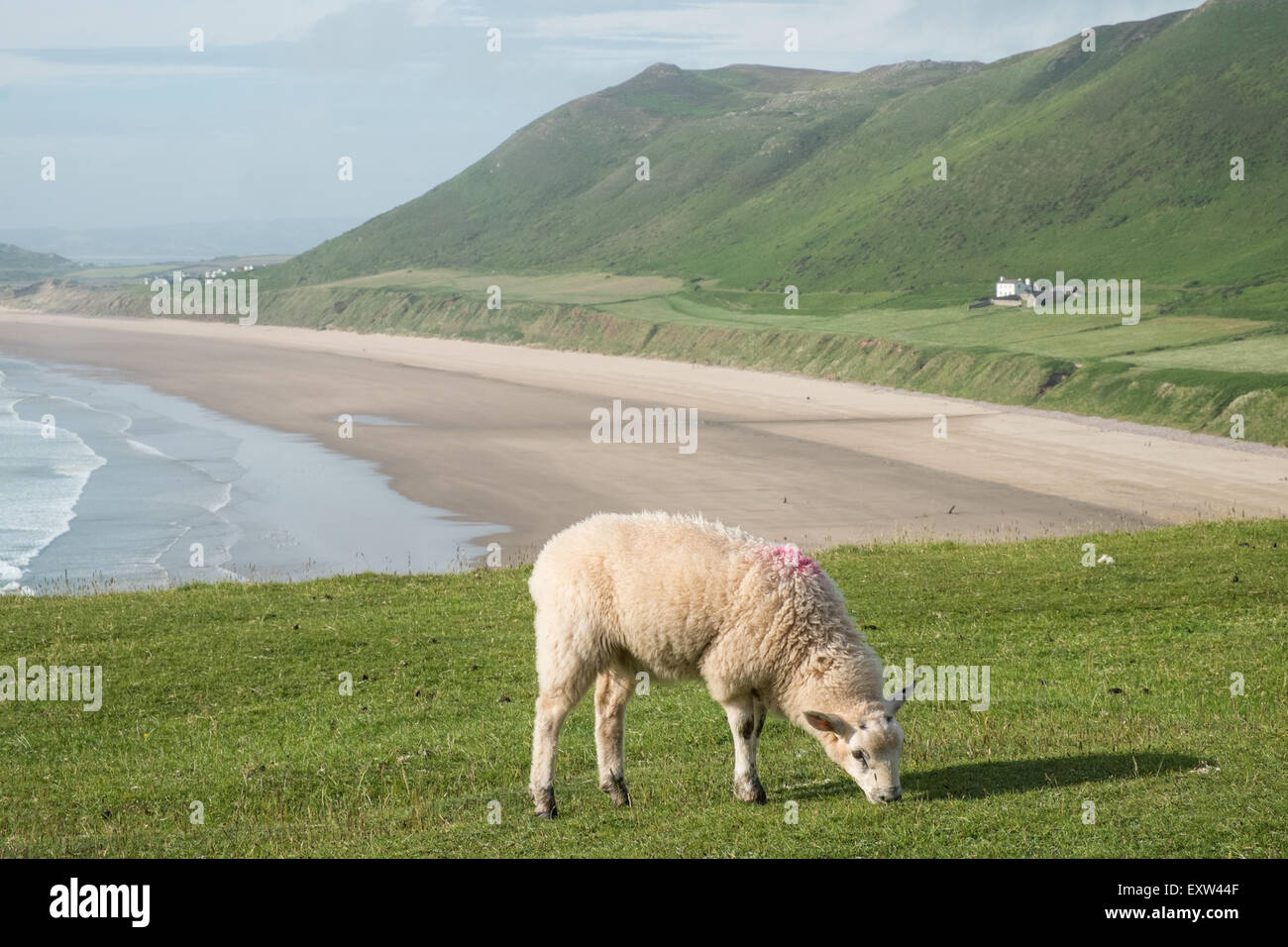 Rossili and wales hi-res stock photography and images - Alamy