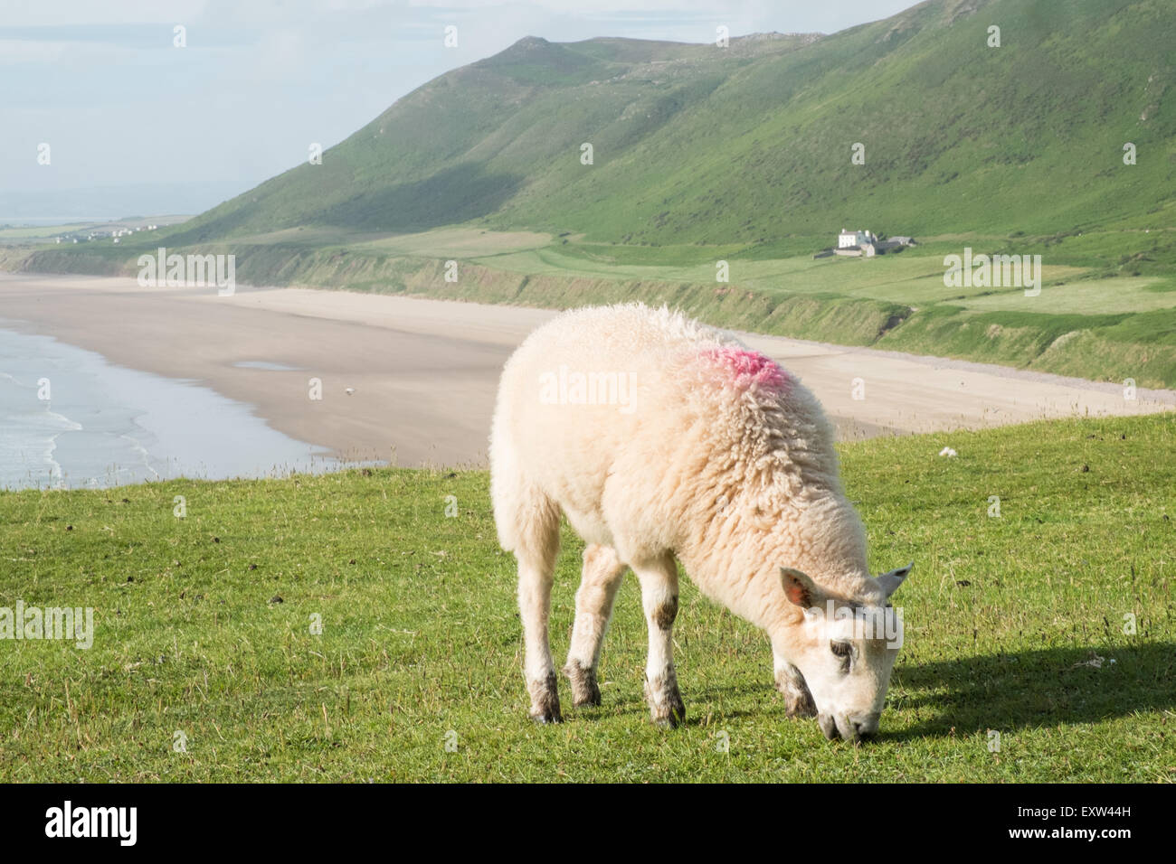 Rossili and wales hi-res stock photography and images - Alamy