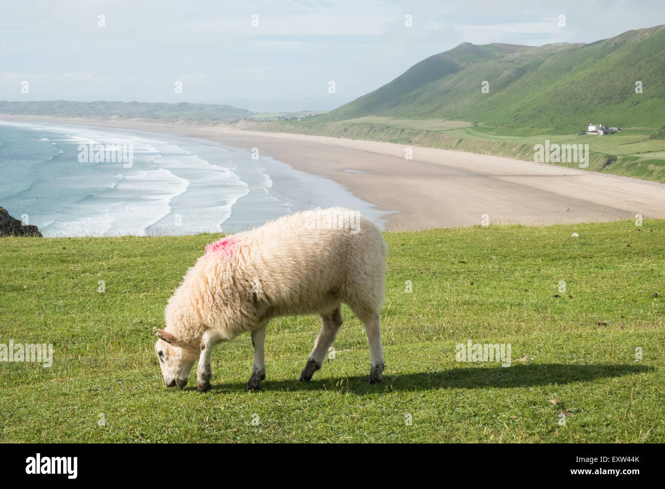 Rhossilli Beach High Resolution Stock Photography and Images - Alamy