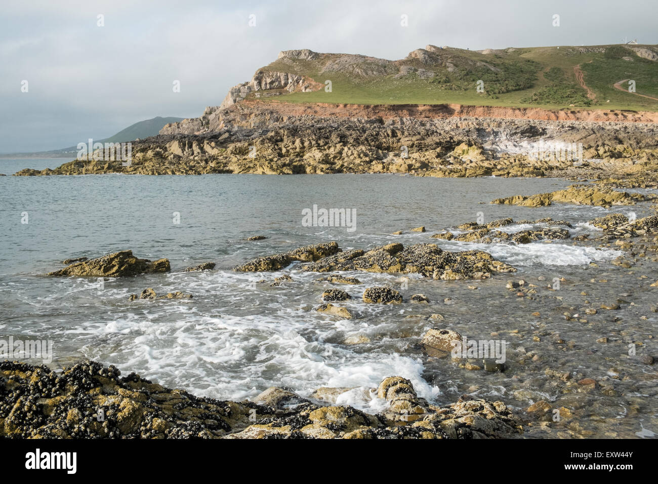 Low tide. Geology,rocks at causeway over to Worms Head,Gower.Rhossilli ...