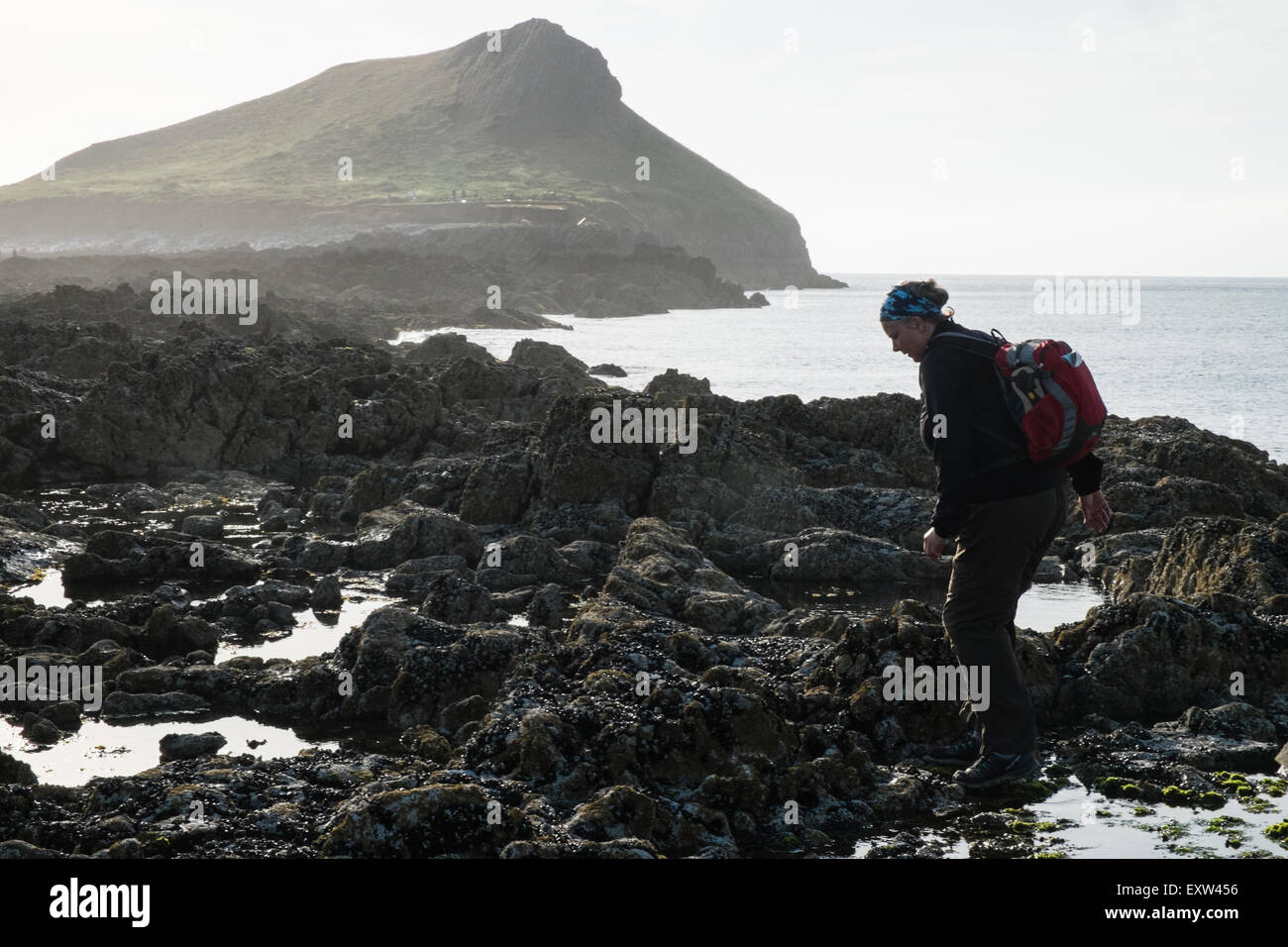Low tide. Geology,rocks at causeway over to Worms Head,Gower.Rhossilli ...