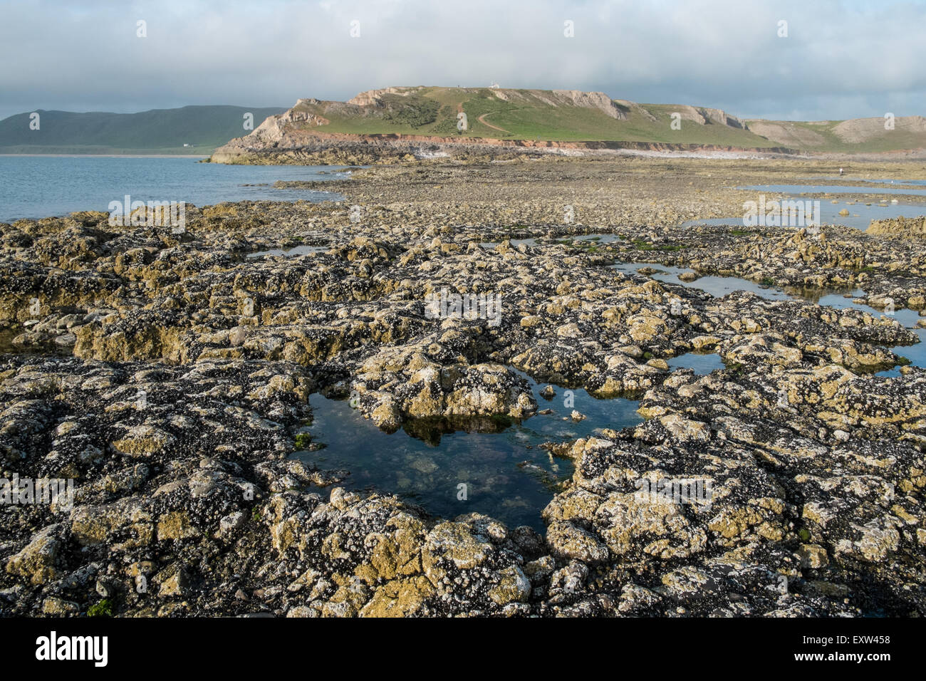 Geology,rocks at causeway over to Worms Head,Gower.Rhossilli,Bay,beach ...