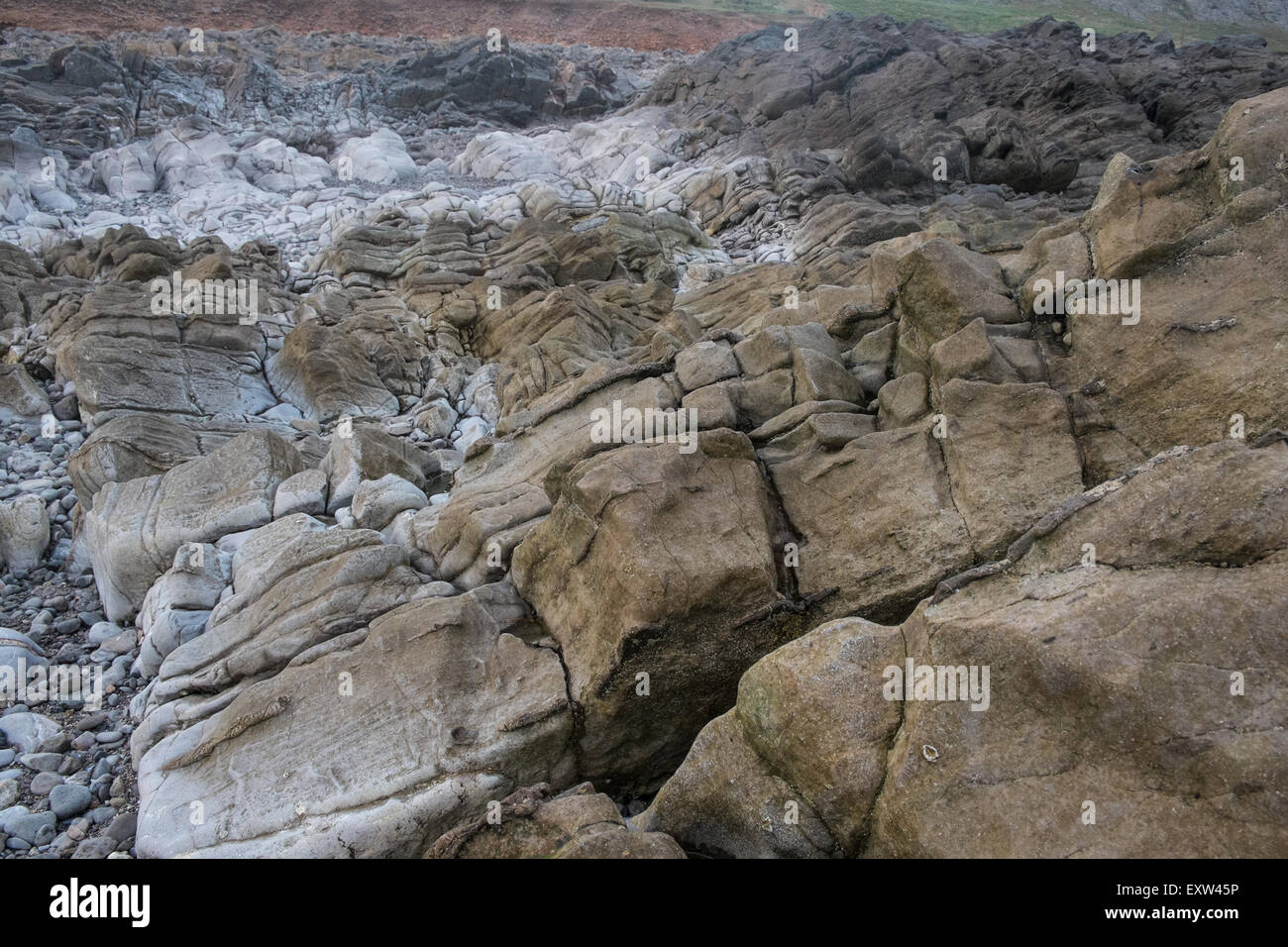 Geology,rocks at causeway over to Worms Head,Gower.Rhossilli,Bay,beach ...