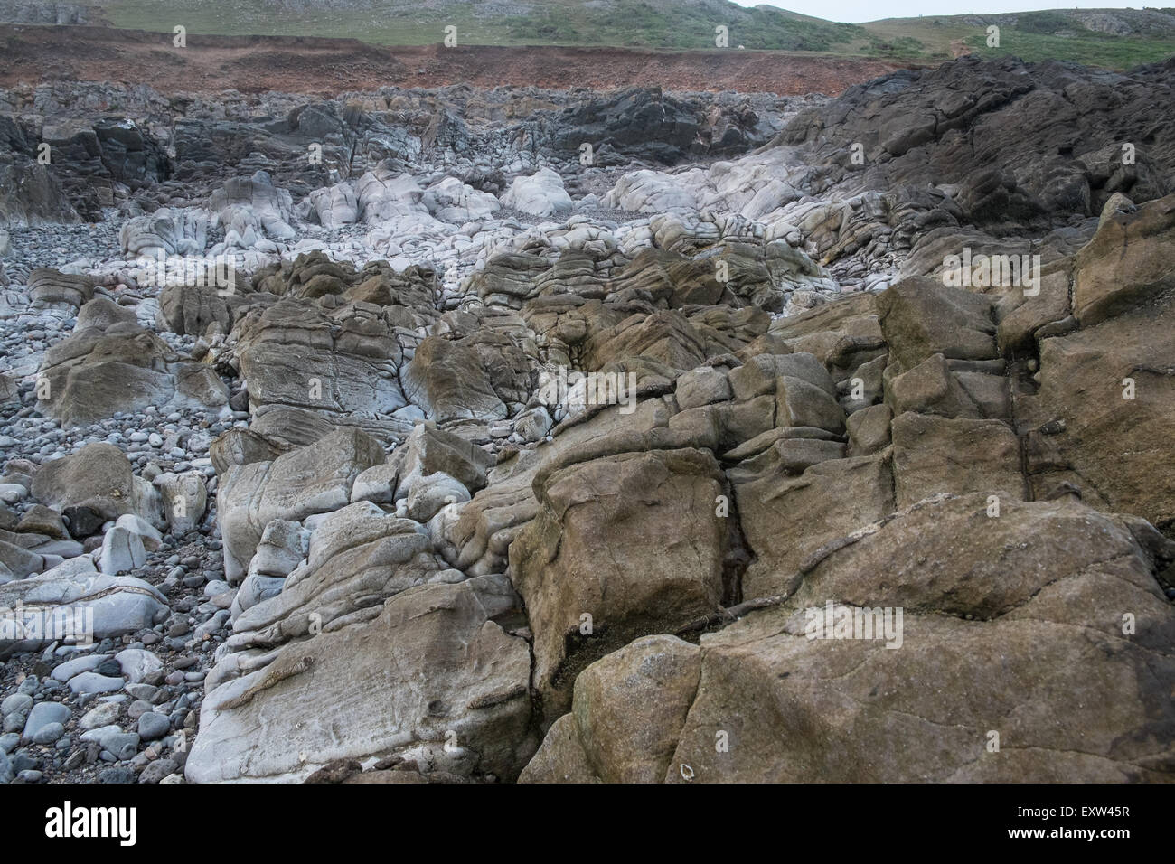 Geology,rocks at causeway over to Worms Head,Gower.Rhossilli,Bay,beach ...