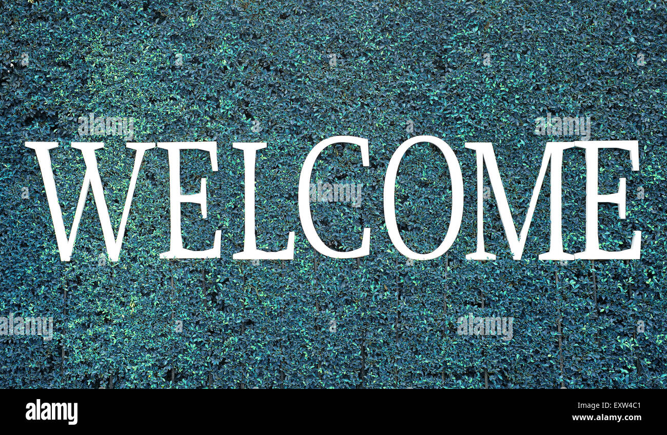 white welcome word on exotic blue color background Stock Photo - Alamy