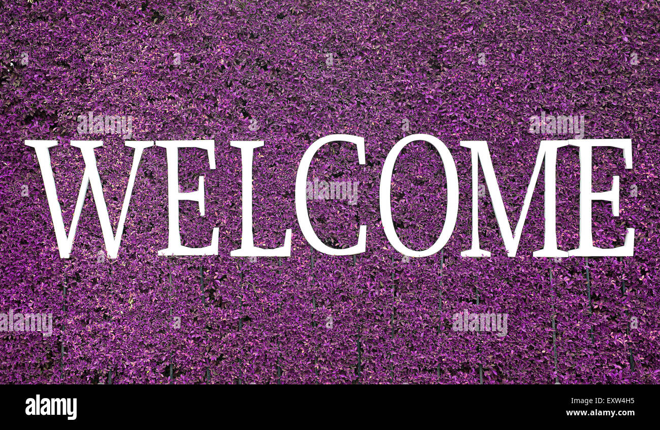 white welcome word on exotic purple color background Stock Photo - Alamy