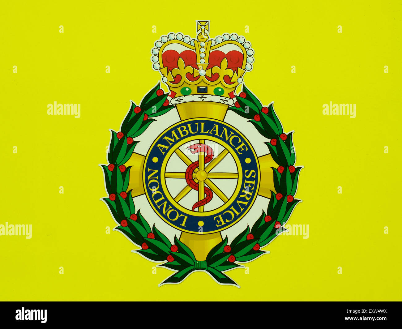 Hippocratic Oath Symbol