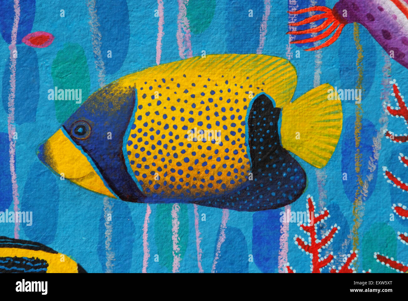 Regal Angelfish original acrylic Painting on Sa-paper Stock Photo - Alamy