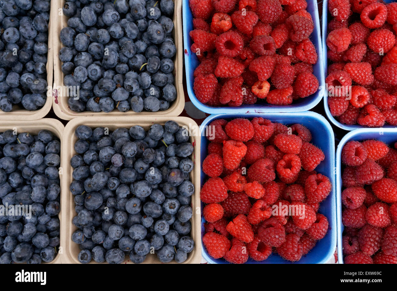 Cartons of fresh raspberries and blueberries side-by-side at a farmer's ...