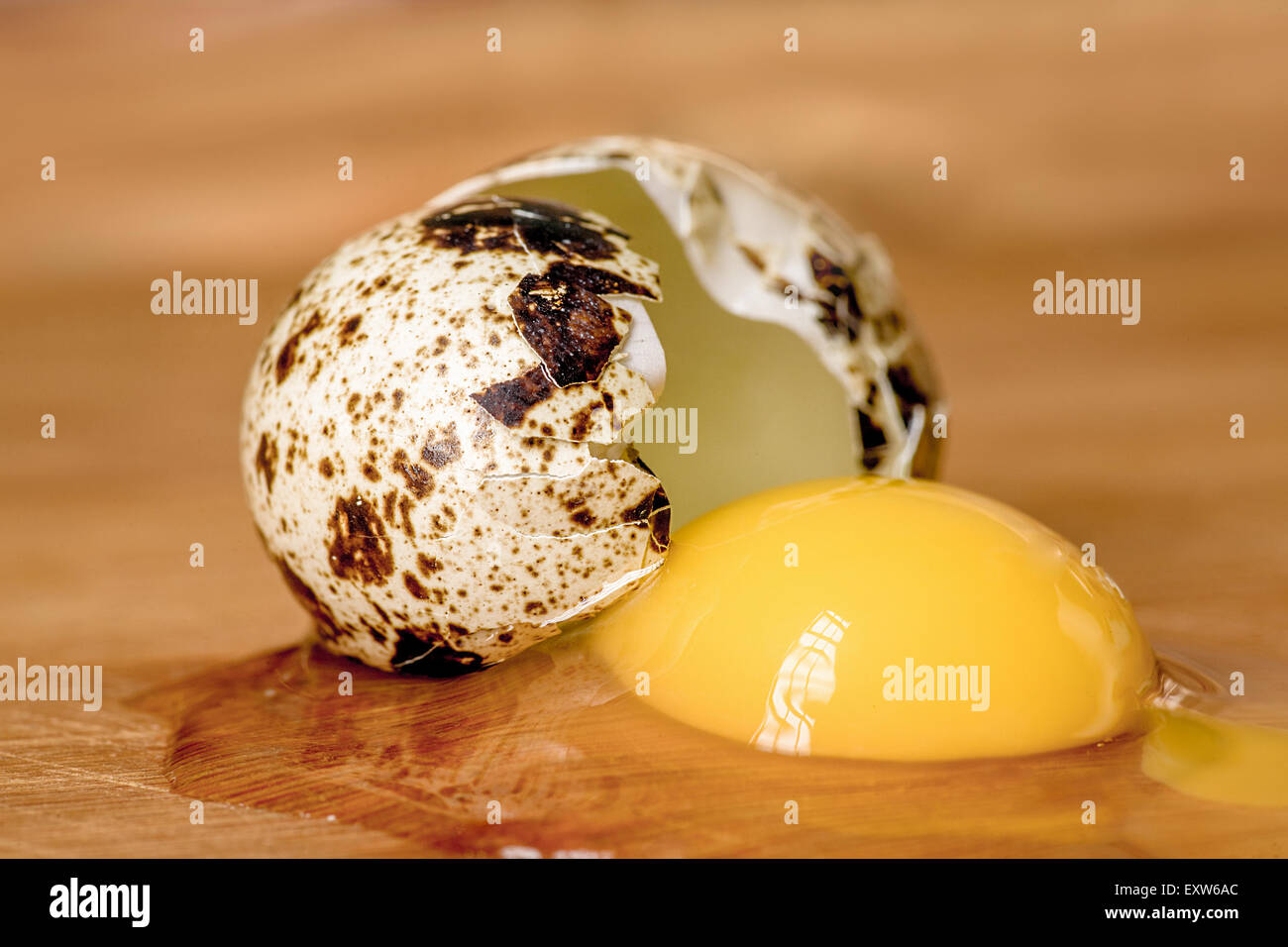 Broken quail egg and eggshell macro photograph on wood planks Stock ...