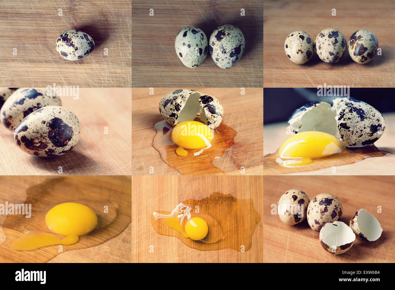 Texture quails eggs hi-res stock photography and images - Alamy