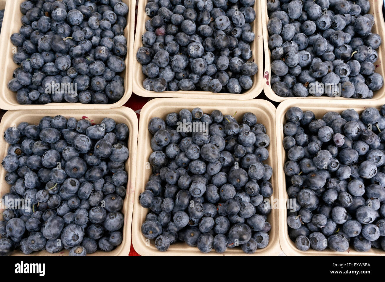 Cartons of fresh blueberries Stock Photo - Alamy