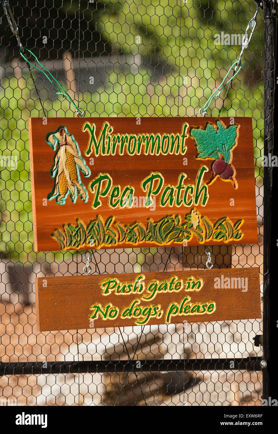 Mirrormont Pea Patch sign on the gate to a community garden in Issaquah ...