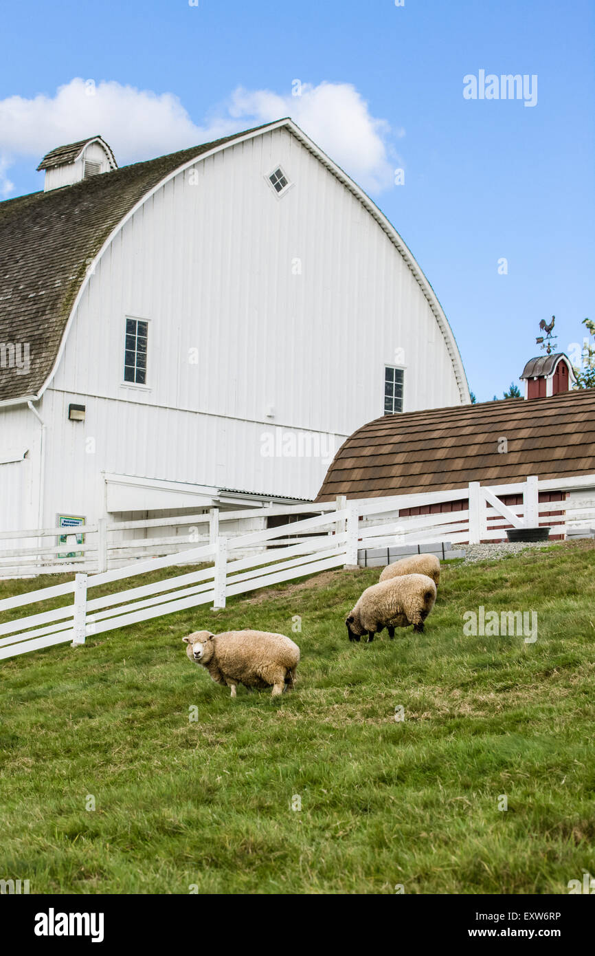 Kelsey creek hi-res stock photography and images - Alamy