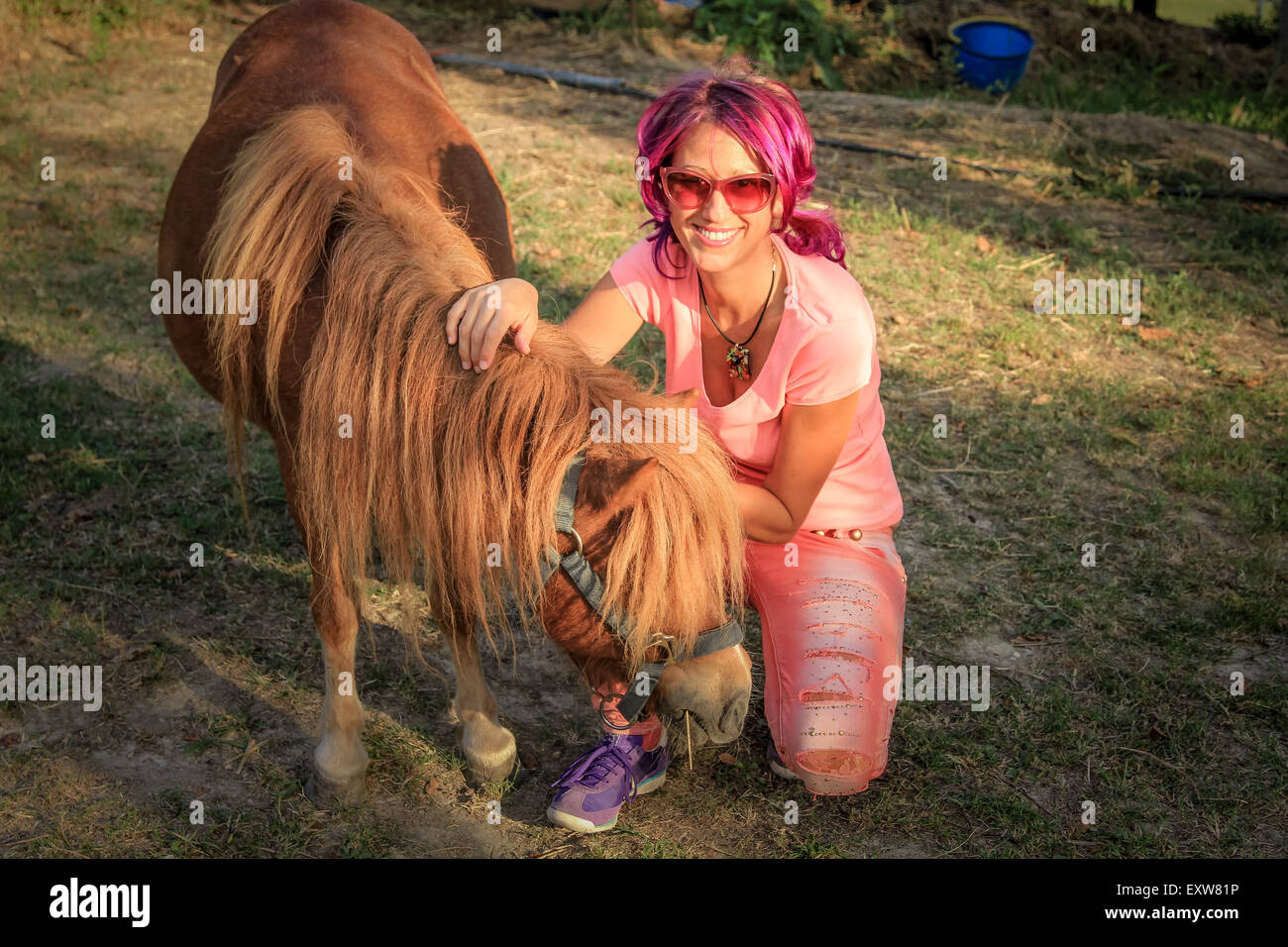 Shetland pony breeding hi-res stock photography and images - Alamy