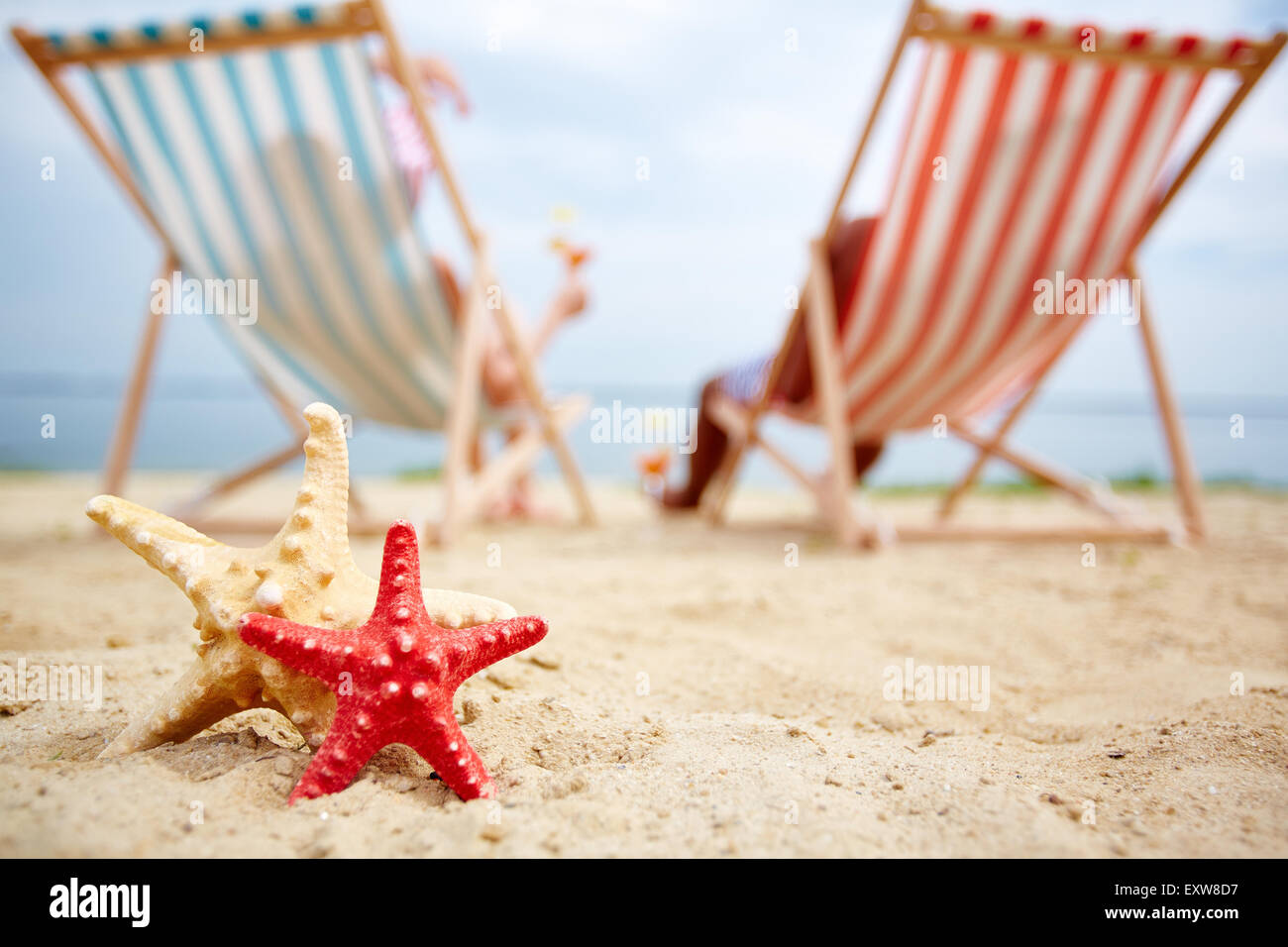 Two sea stars on sand and relaxing sunbathers on background Stock Photo ...