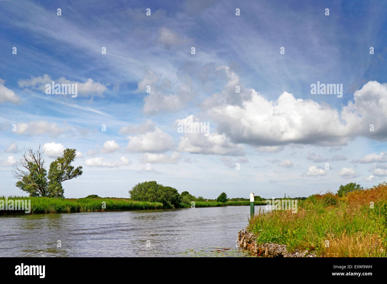 A view of a yacht sailing on the River Bure on the Norfolk Broads near ...