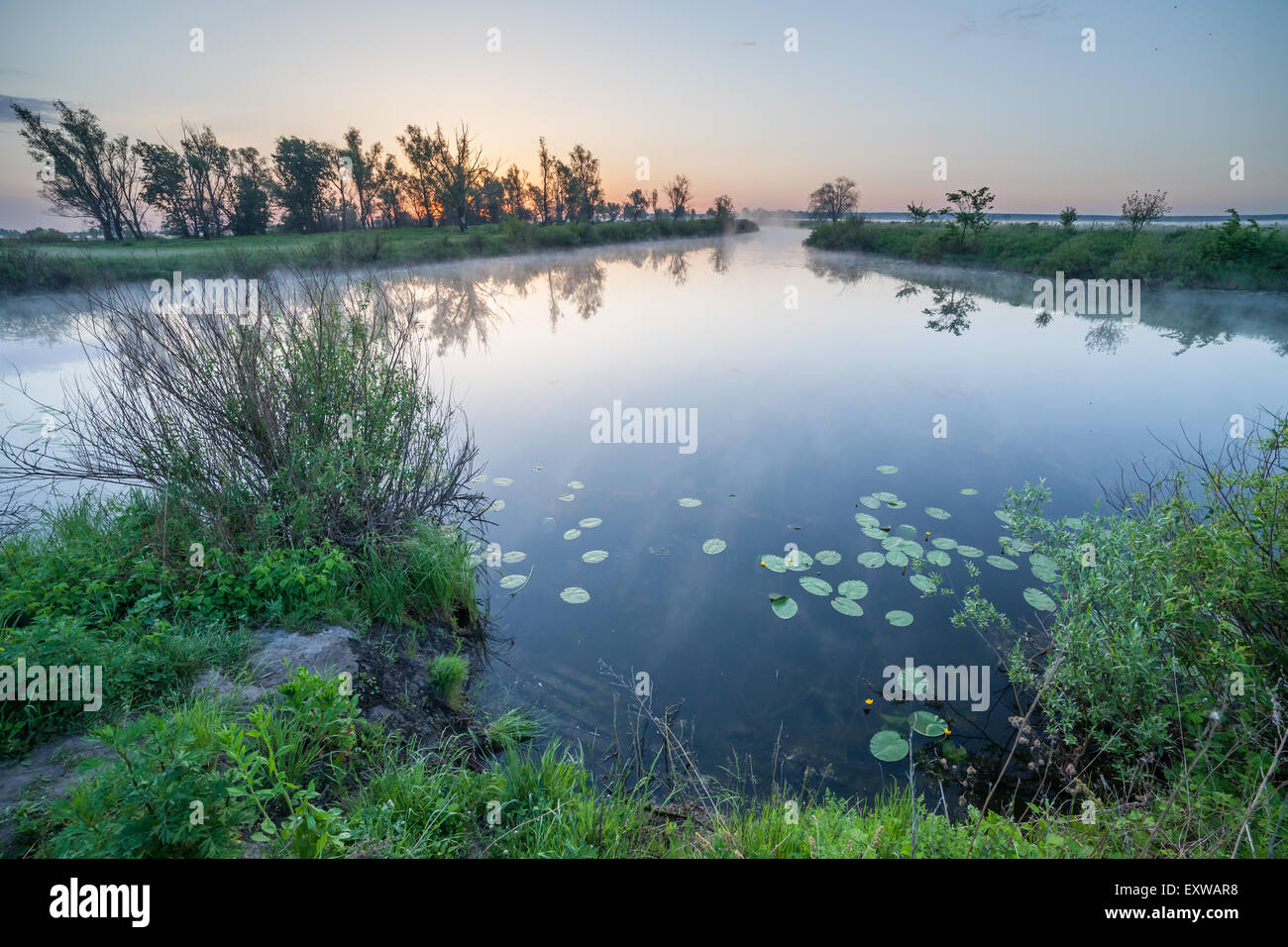 summer sunrise over the river with a fog Stock Photo - Alamy