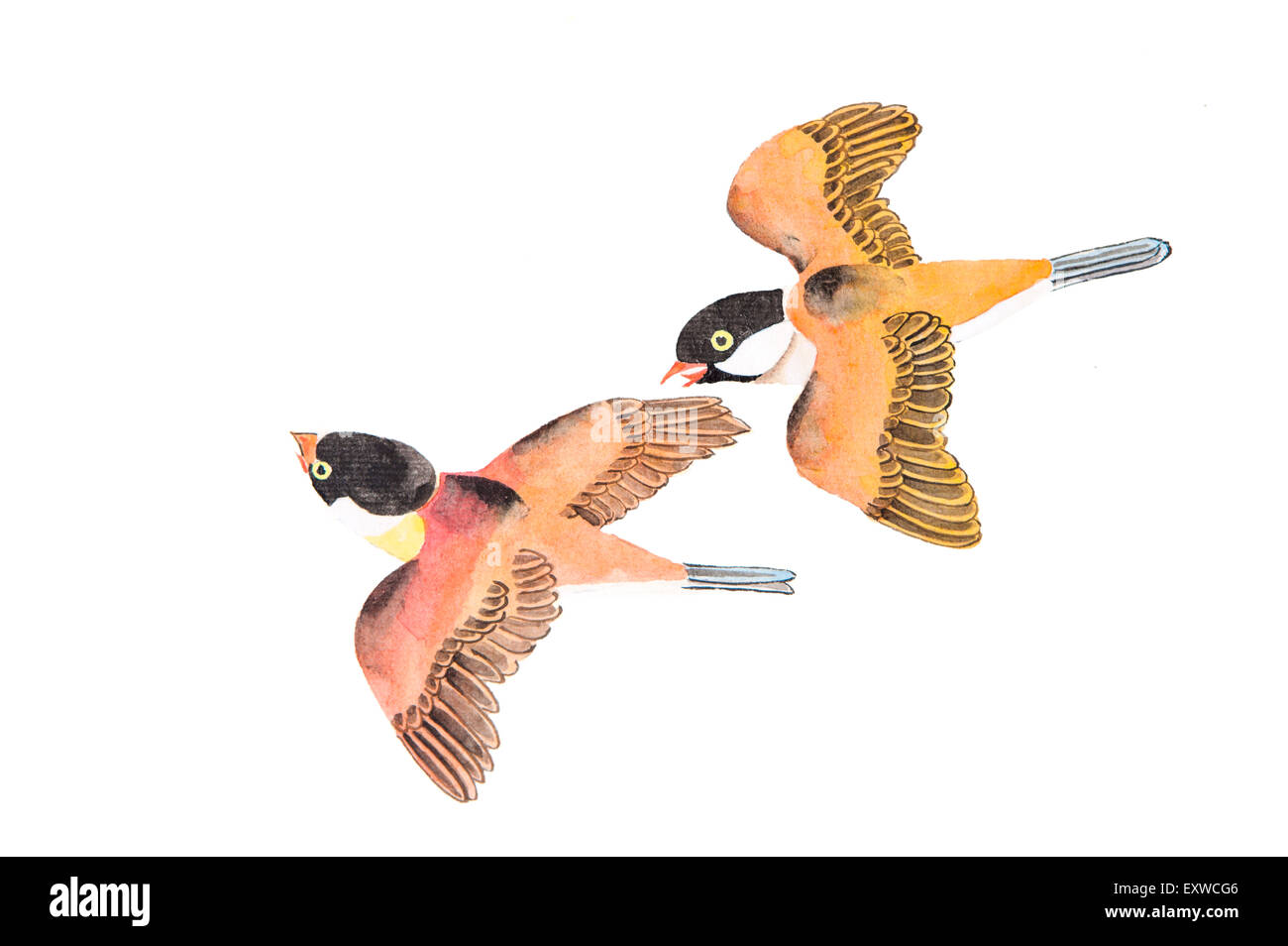 Traditional Chinese Painting, Bird Stock Photo - Alamy