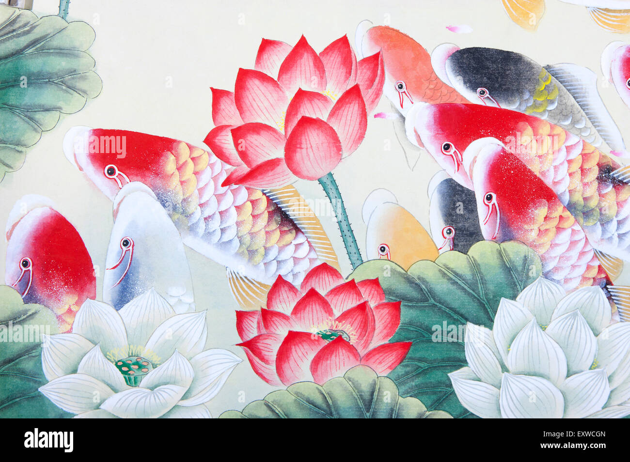 Lotus koi hi-res stock photography and images - Alamy