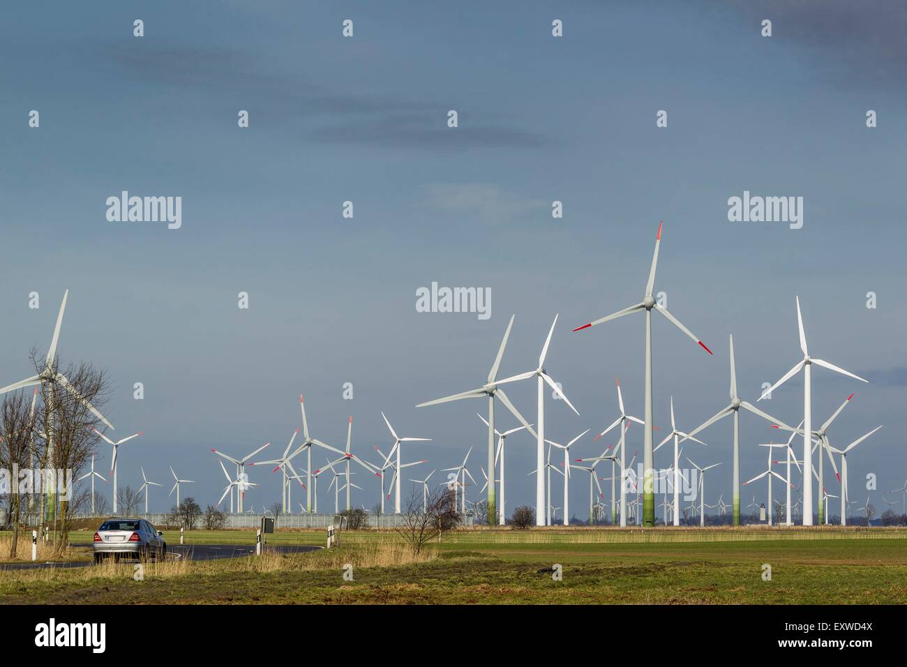Landscape with wind turbines in Dithmarschen, Schleswig-Holstein ...