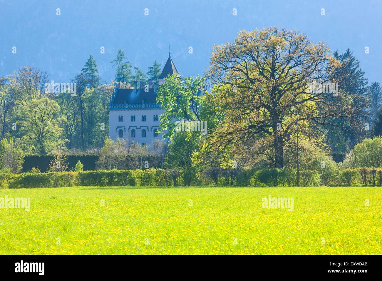 Castle anif austria hi-res stock photography and images - Alamy