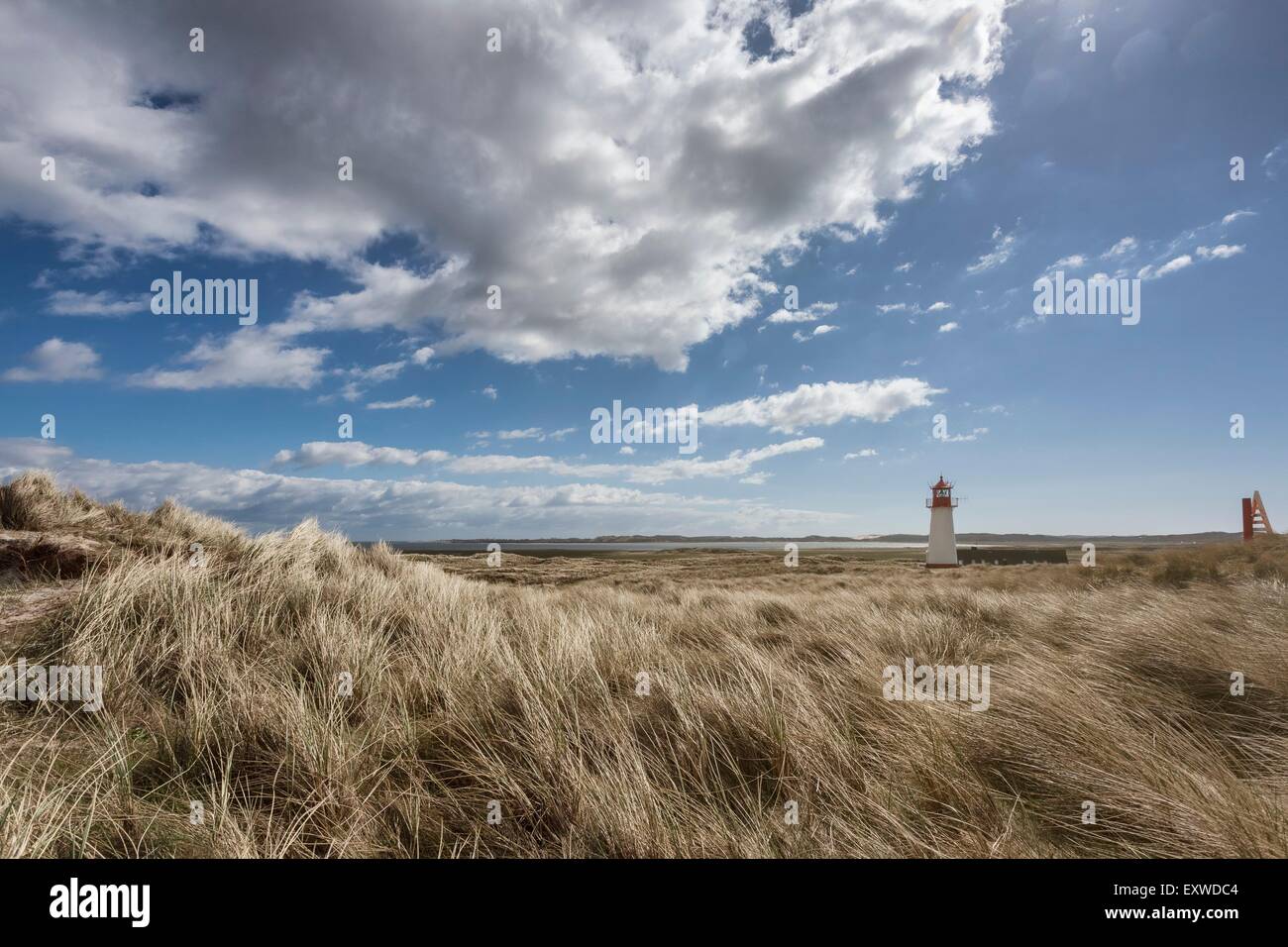 Landscape at Ellenbogen, Sylt, Germany Stock Photo - Alamy