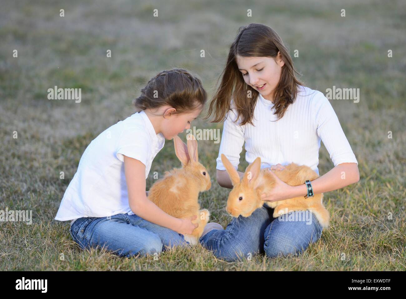 Children colouring hi-res stock photography and images - Alamy