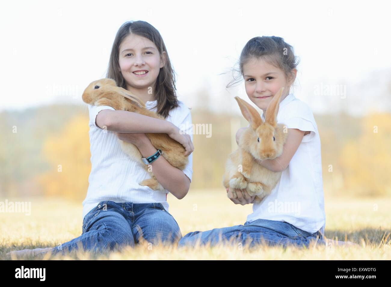 Portrait 18 rabbit hi-res stock photography and images - Alamy