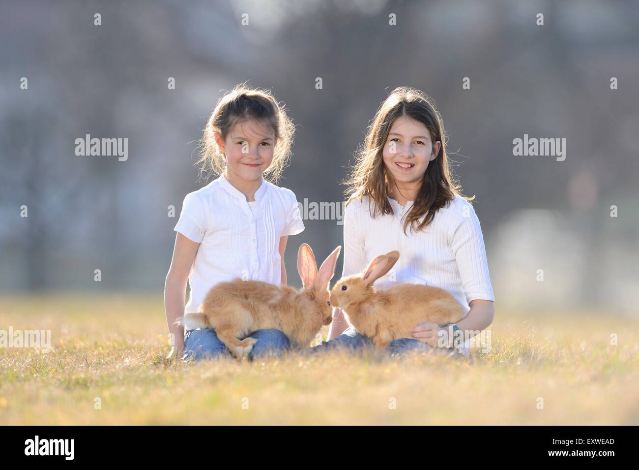 Rabbits are long hi-res stock photography and images - Alamy