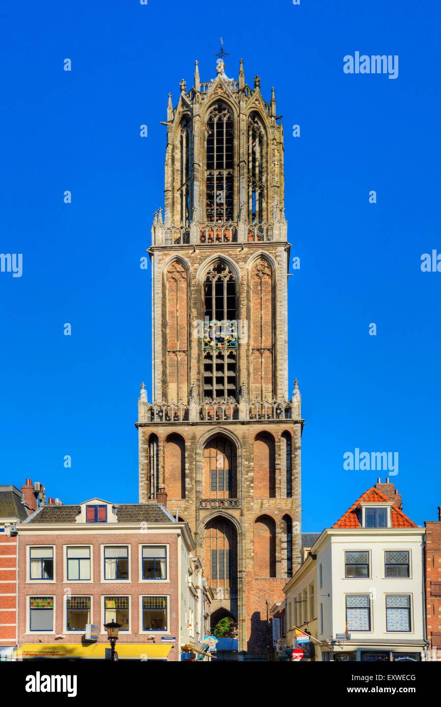 Utrecht Cathedral, Netherlands Stock Photo - Alamy