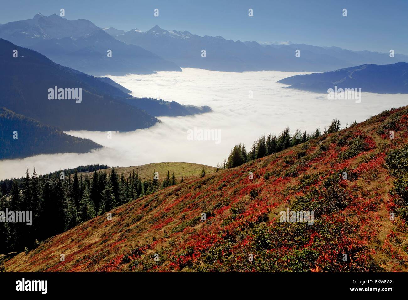 Landscape view of The Alps, Austria, Europe Stock Photo - Alamy
