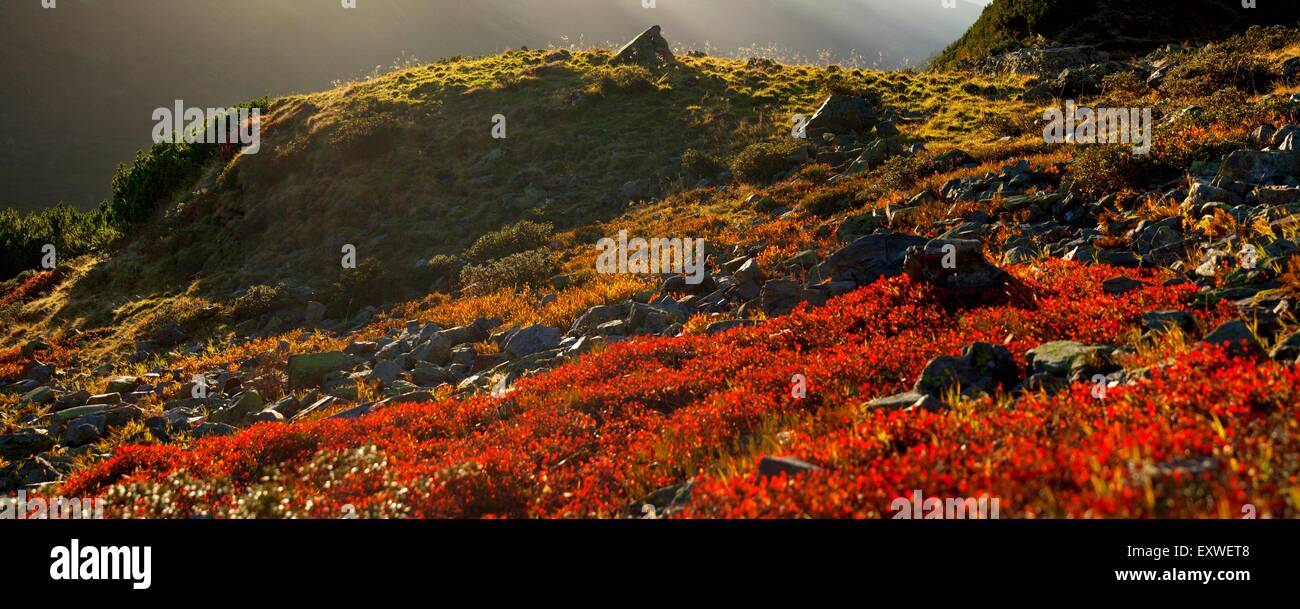 Autumn in Silbertal, Vorarlberg, Austria Stock Photo - Alamy