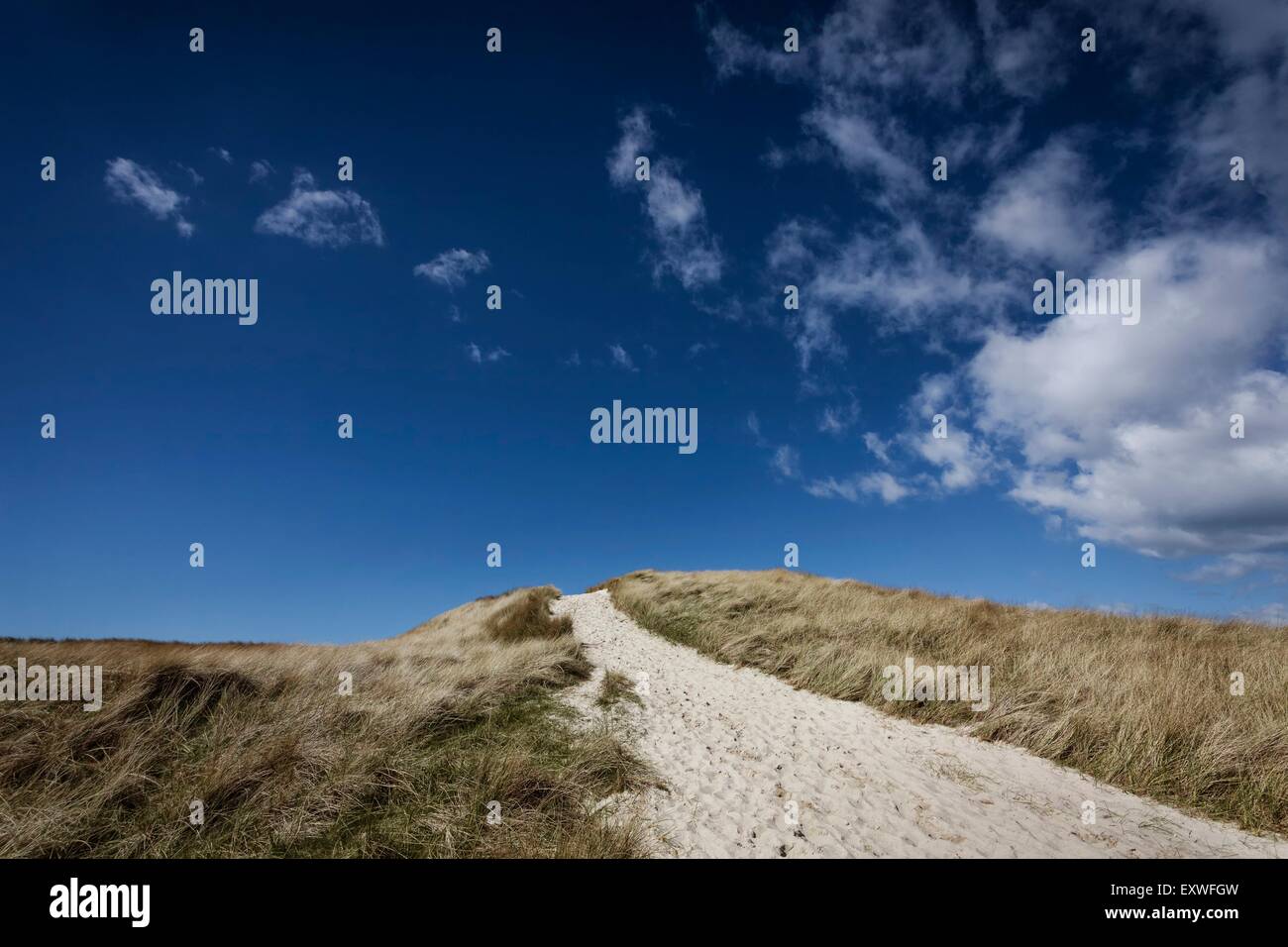 Ellenbogen sylt hi-res stock photography and images - Alamy