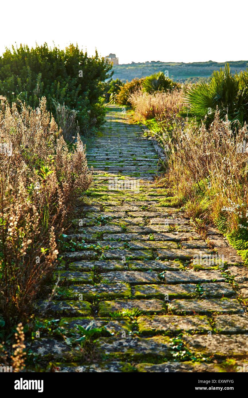 Antique path near Selinunt, Sicily, Italy Stock Photo - Alamy