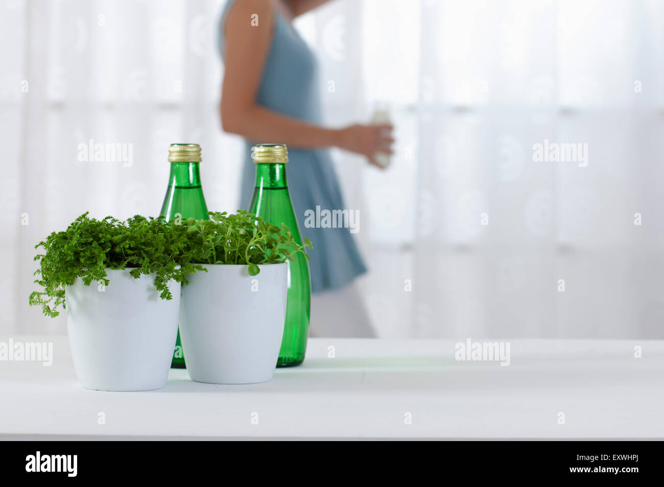 Two potted plants hi-res stock photography and images - Alamy