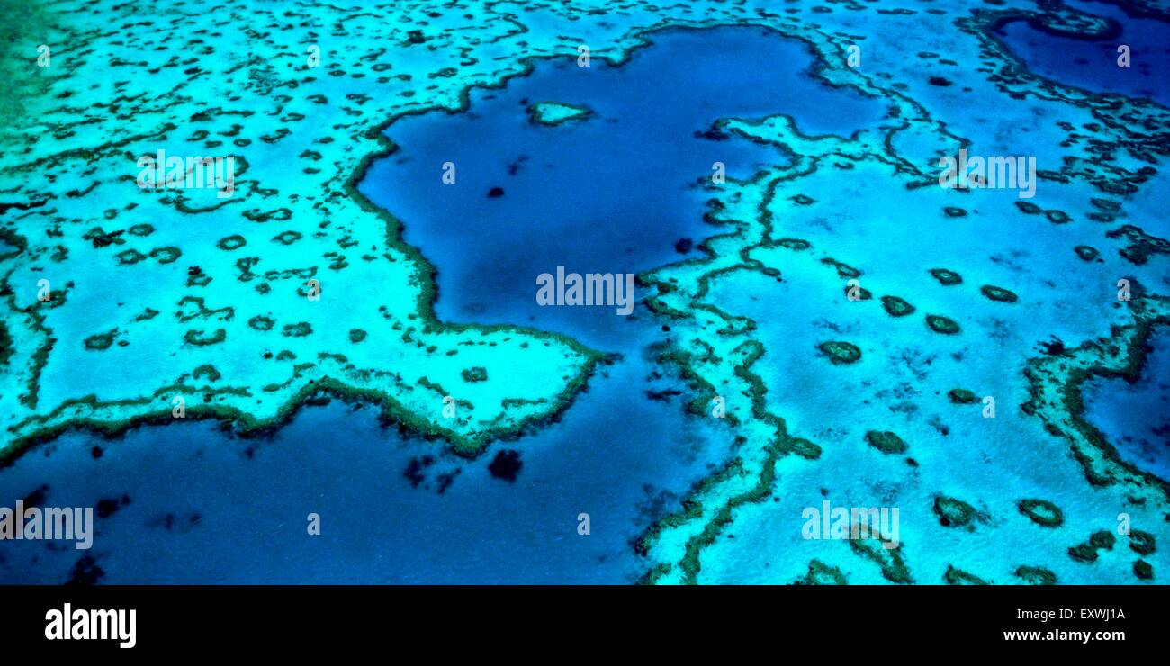 Great Barrier Reef, Queensland, Australia Stock Photo - Alamy