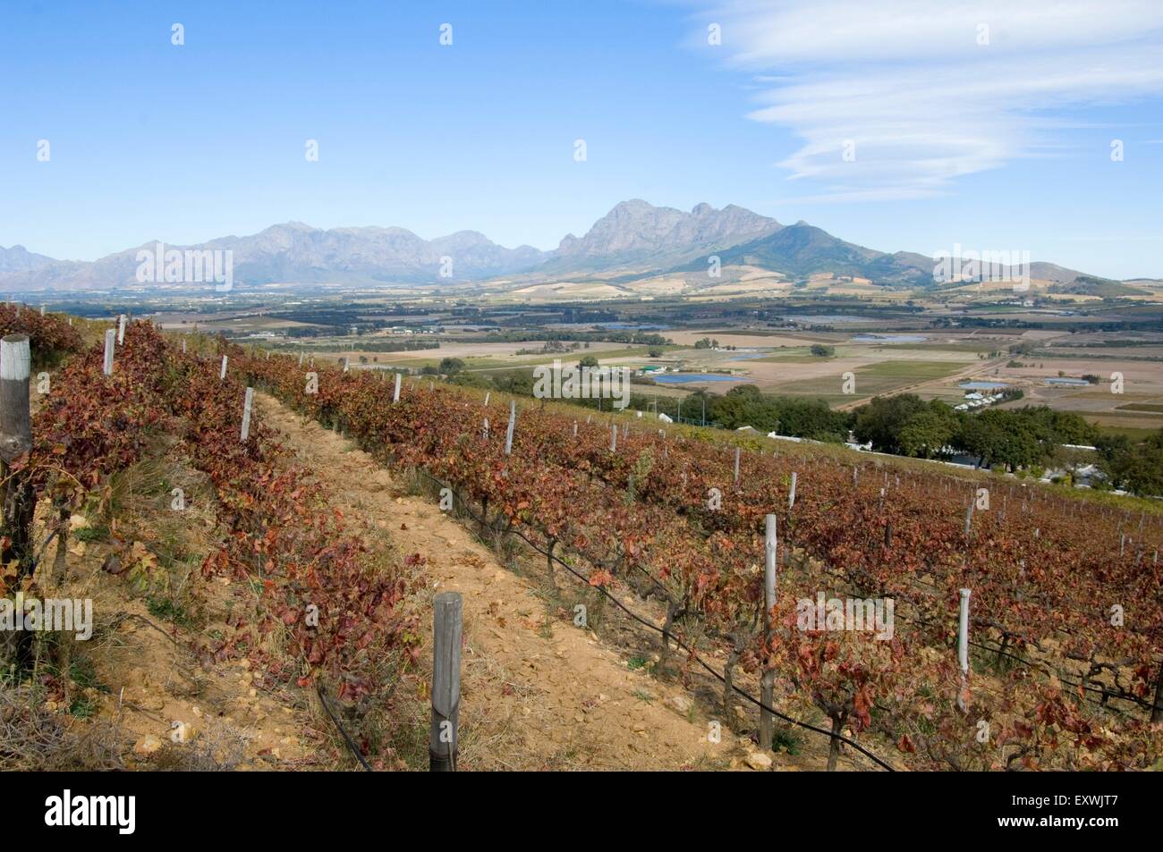 Paarl south africa hi-res stock photography and images - Alamy