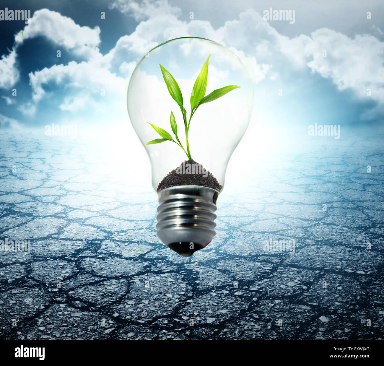 Environment friendly bulb Stock Photo - Alamy