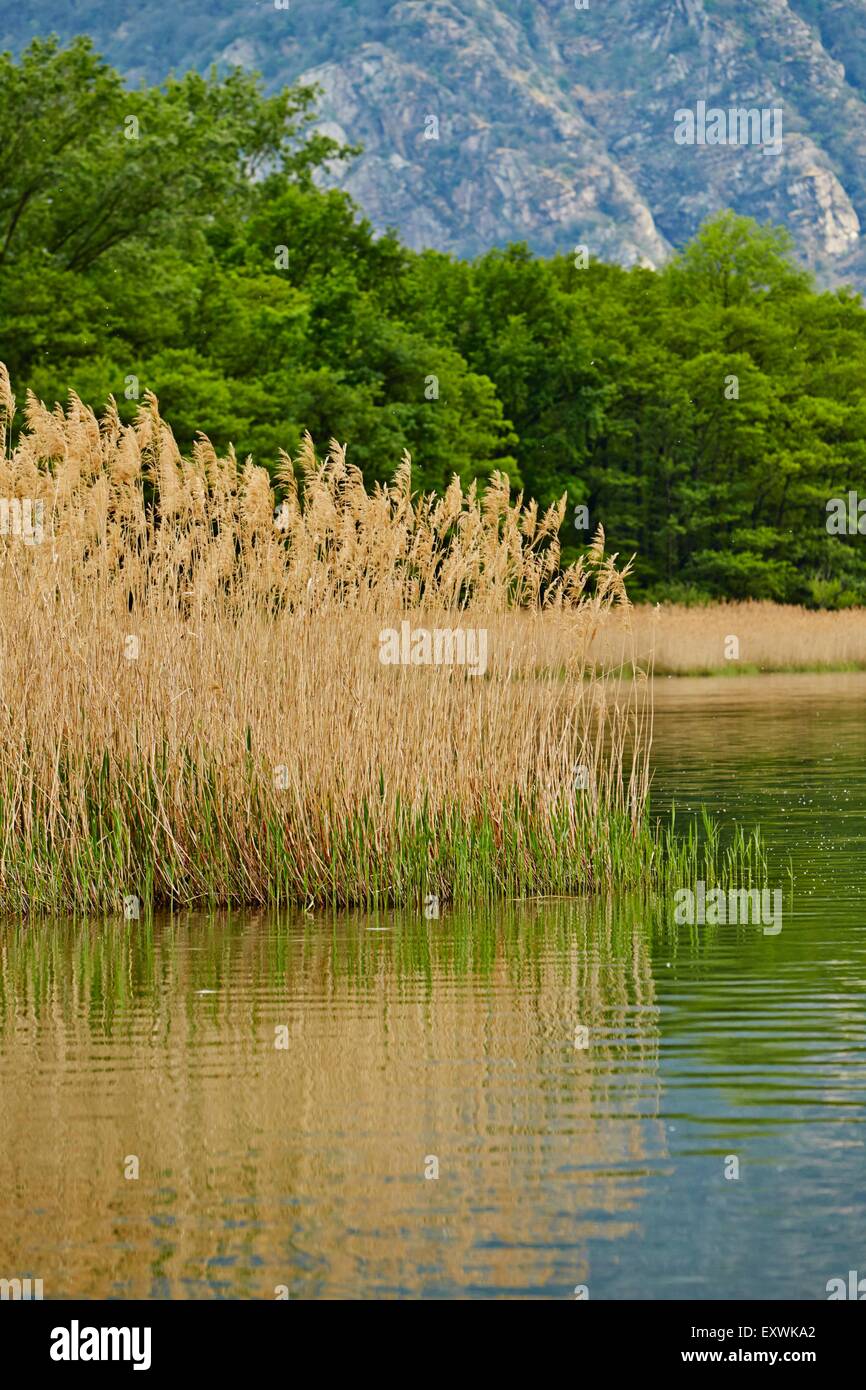 Lago di Mergozzo, Piedmont, Italy Stock Photo - Alamy