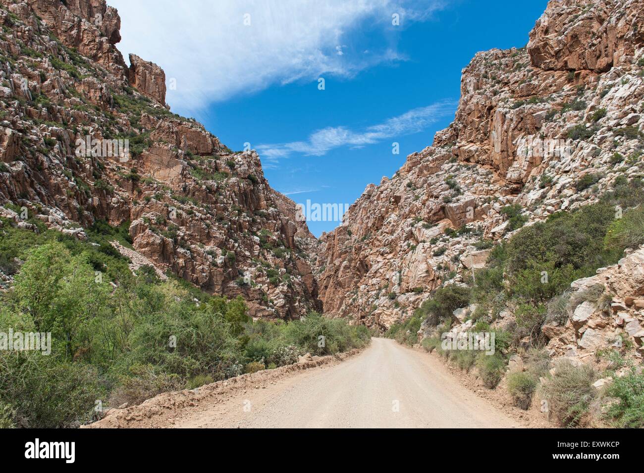 Road to the Swartberg mountain pass, Western Cape, South Africa Stock ...
