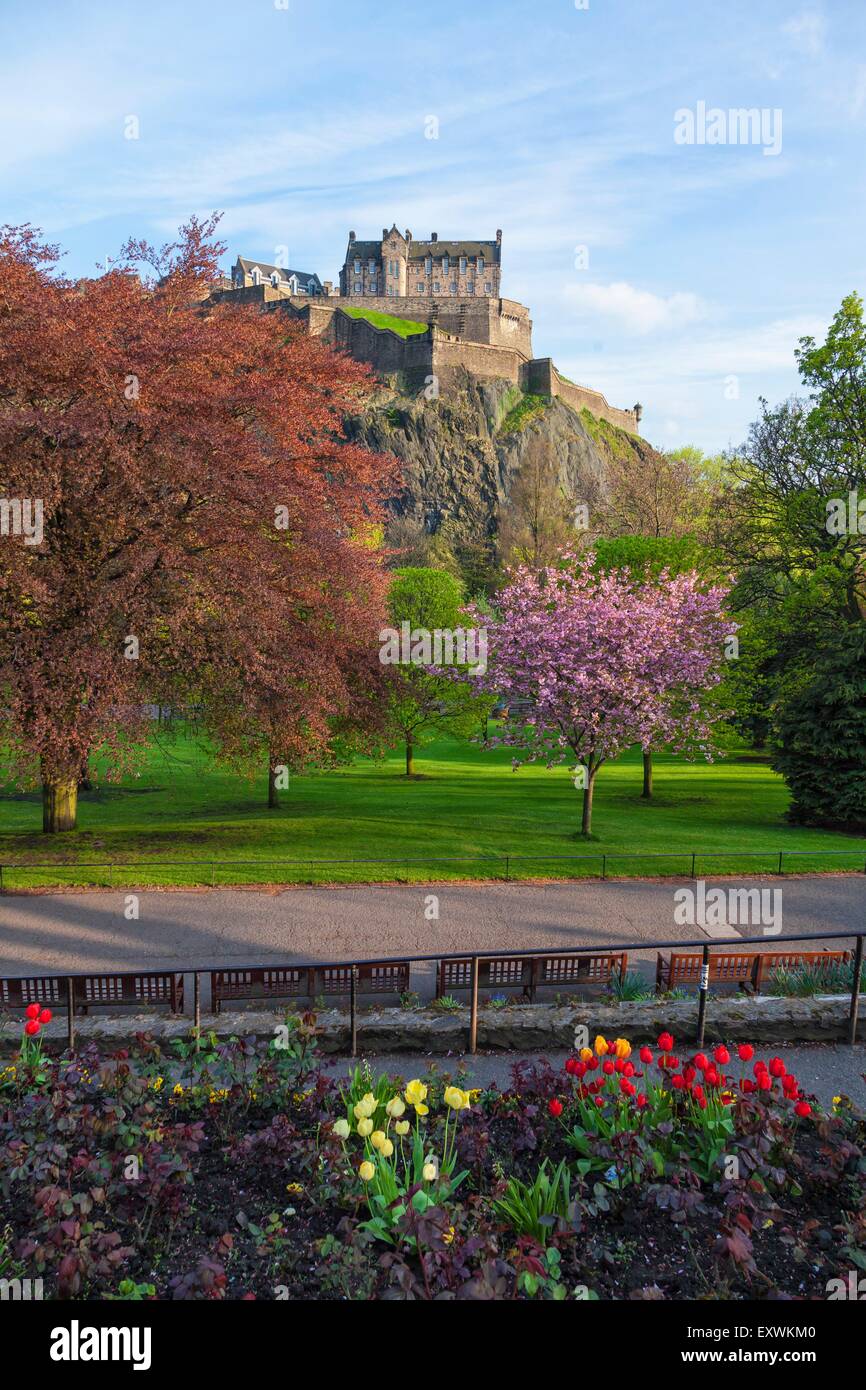 Princess Street Garden and Edinburgh Castle, Edinburgh, Scotland Stock ...