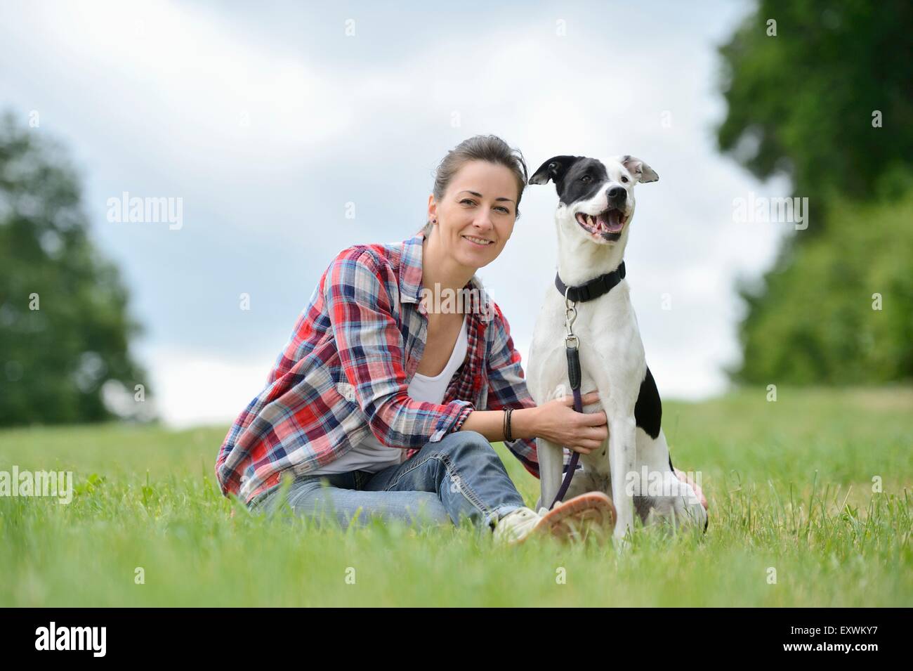 Female mongrel hi-res stock photography and images - Alamy