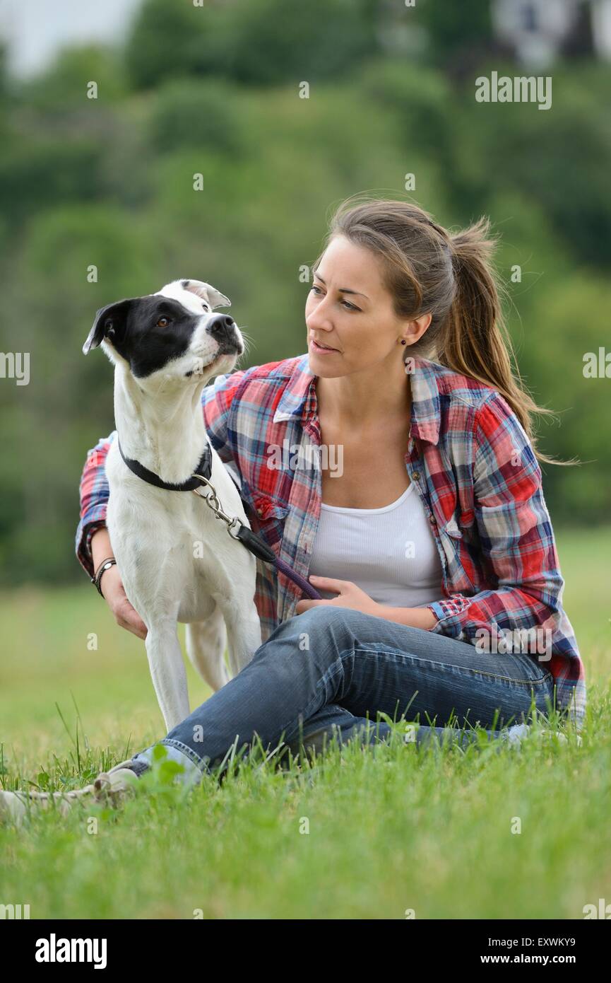 Mongrel dog hi-res stock photography and images - Alamy