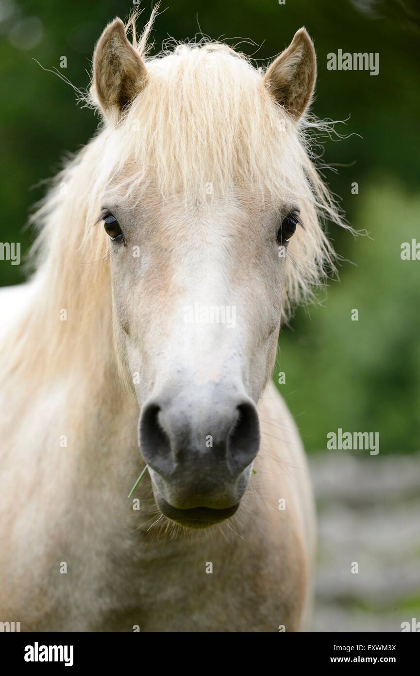 Geography portrait hi-res stock photography and images - Alamy