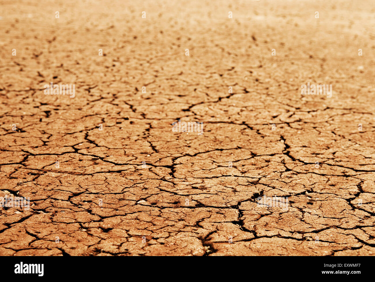 Dry soil texture Stock Photo - Alamy