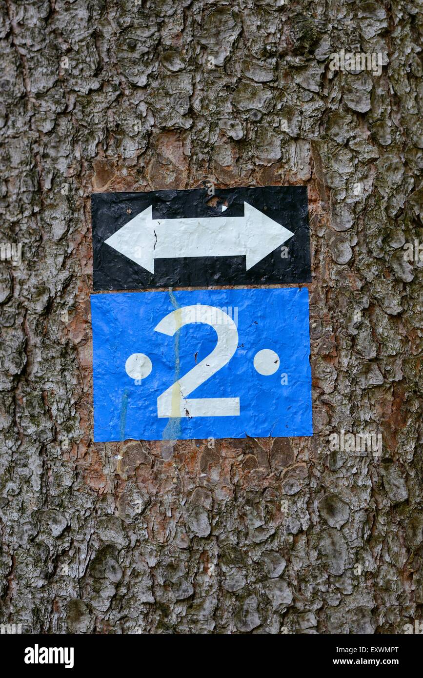 Arrow sign tree hi-res stock photography and images - Alamy
