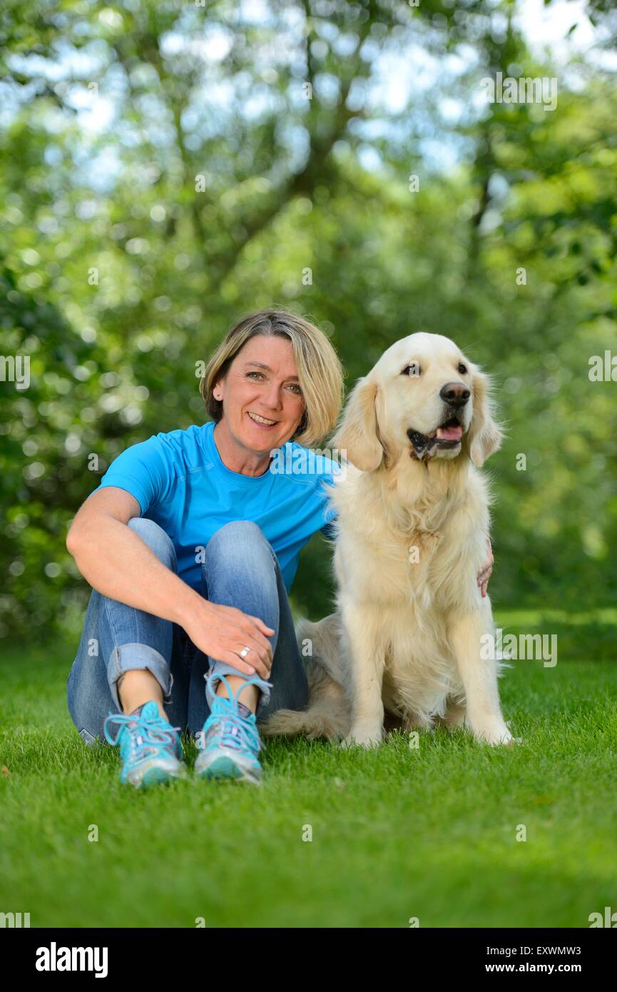 Golden retriever in sit hi-res stock photography and images - Alamy