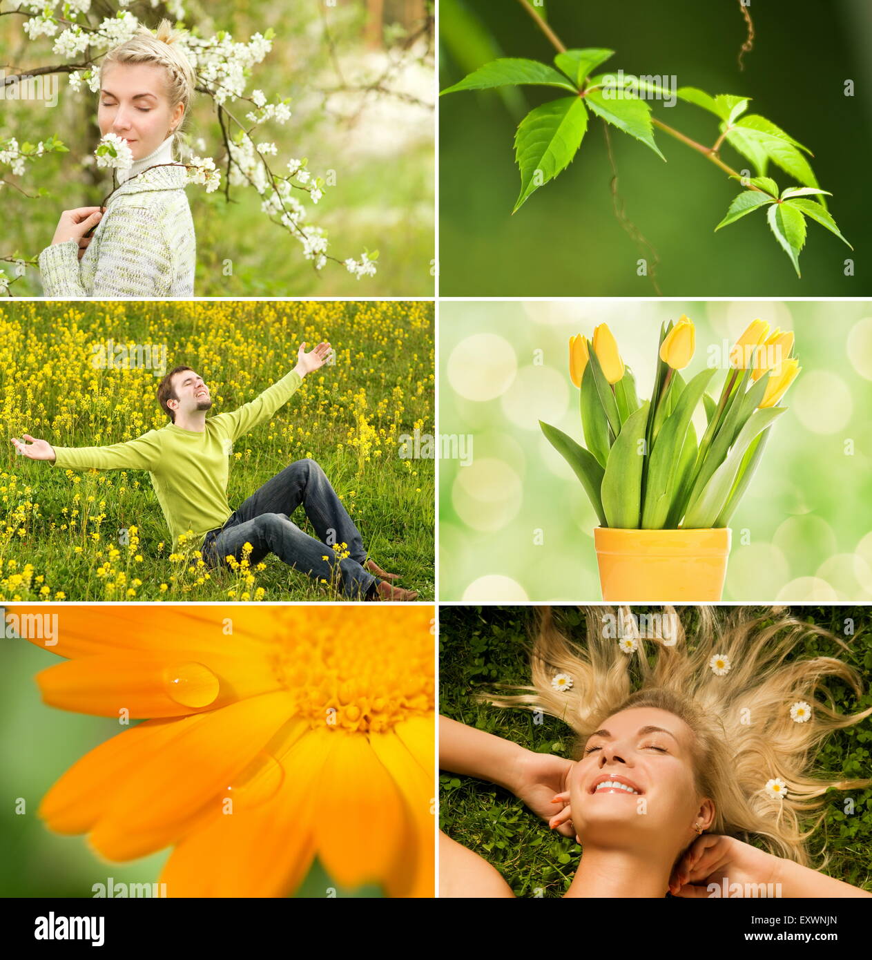 Collage man hi-res stock photography and images - Alamy