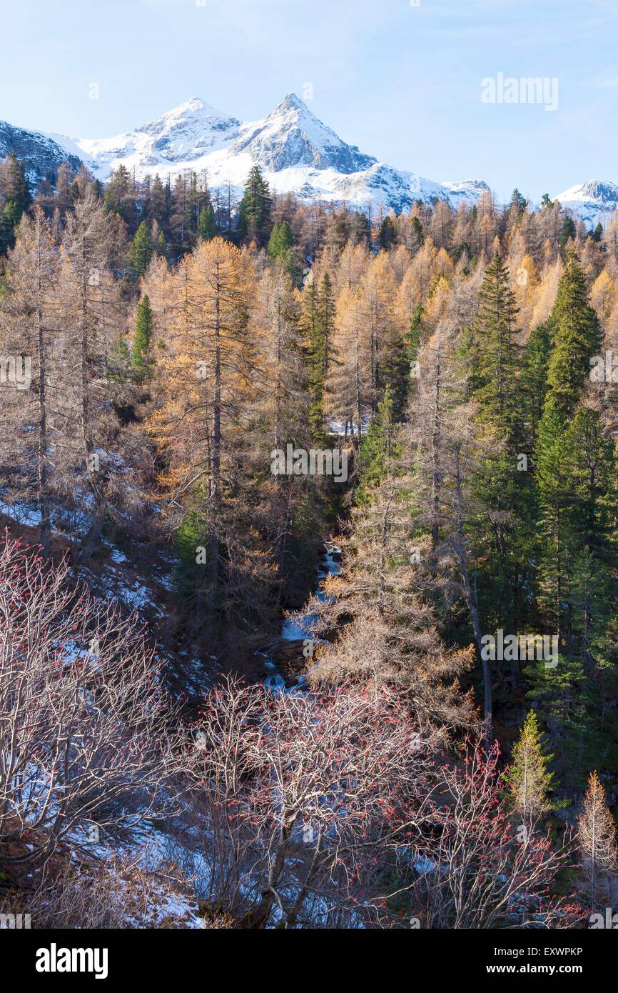 Vorderer hi-res stock photography and images - Alamy